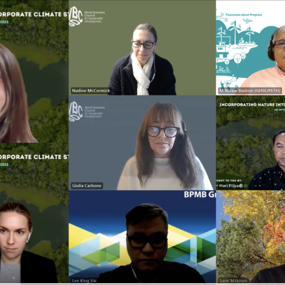 Business Council for Sustainable Development (BCSD) Malaysia